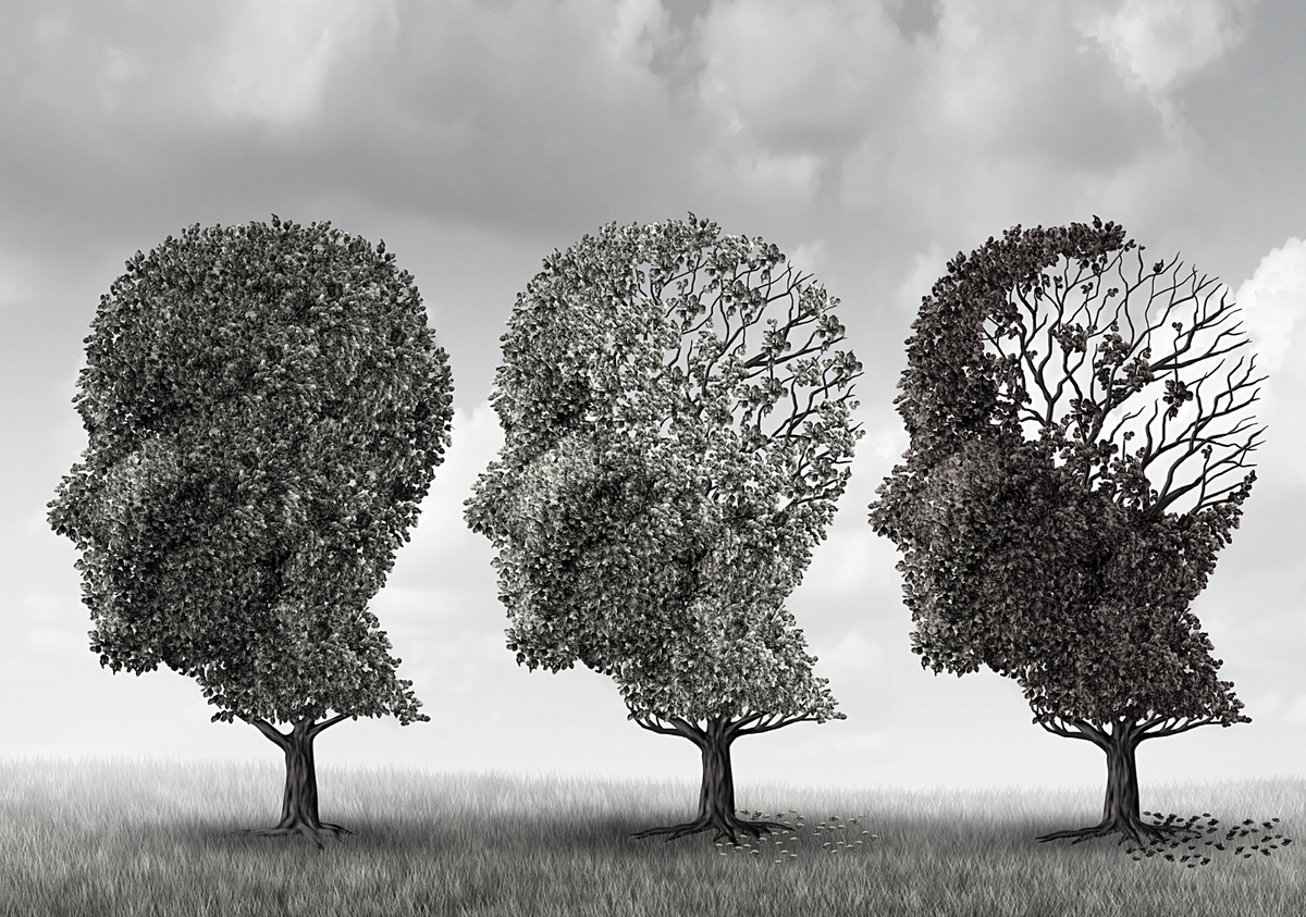 How altered intercellular communication affects aging – QYRAL